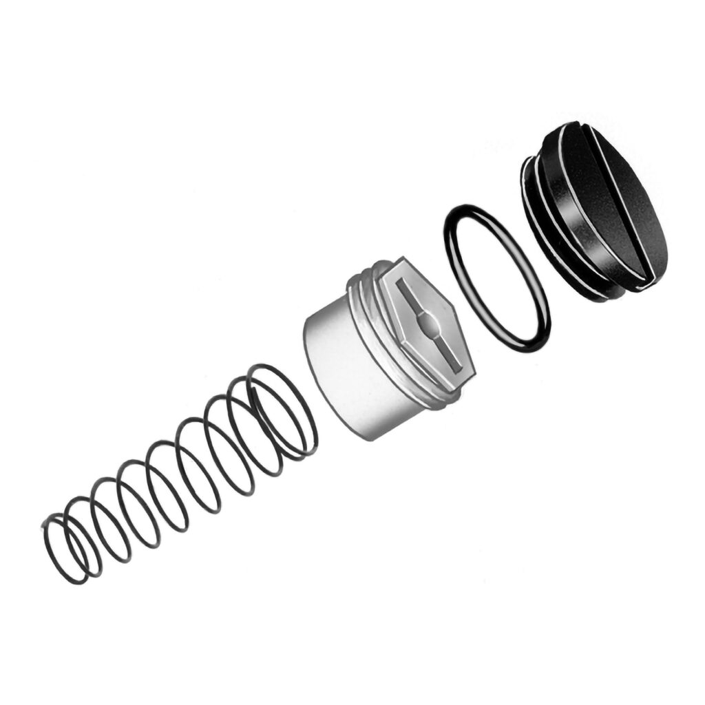 LP to Natural Gas Conversion Kit Including regulator Spring Screw And ...